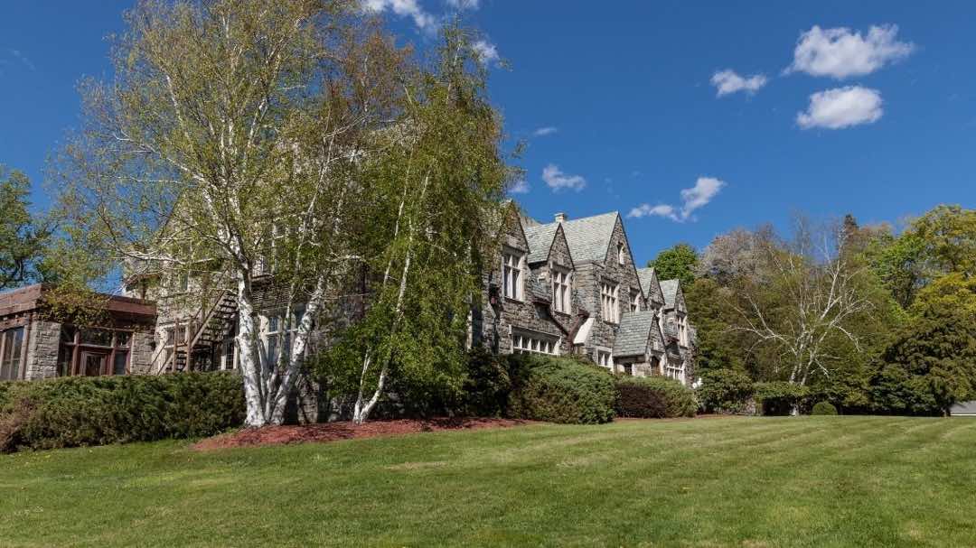 What are the Benefits of a Regular Tree Service | Pacific Landscaping ...